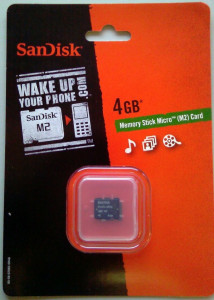 SanDisk MS micro M2 - 4 GB