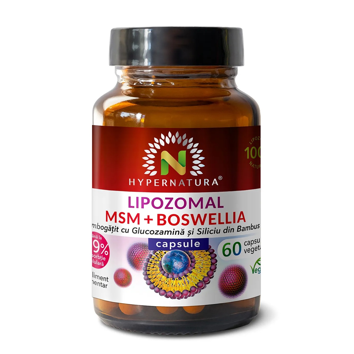 Lipozomal MSM + Boswellia 60 capsule vegetale Hypernatura | Remedius.ro