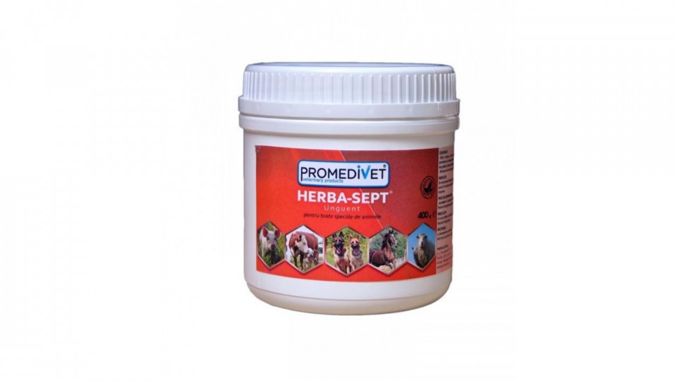 Herba-sept unguent - 400g