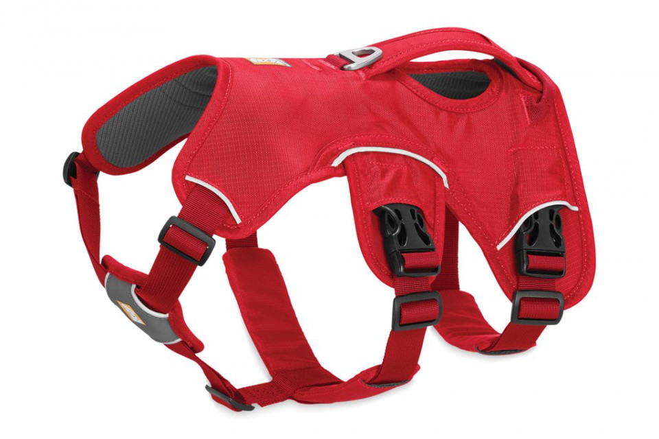 Ham Web Master Ruffwear - XS - Red Currant
