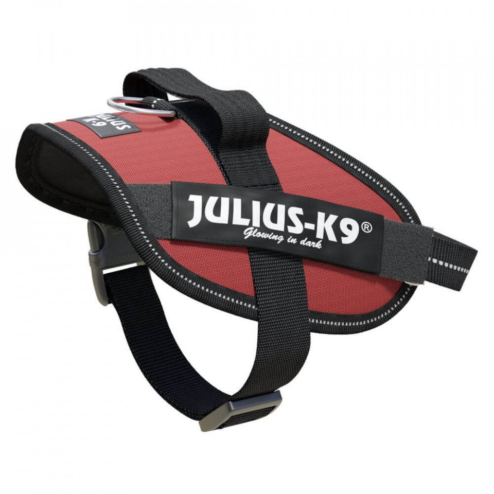 Ham K9 IDC Power - Marimea Mini-Mini (4-7kg) - Bordo