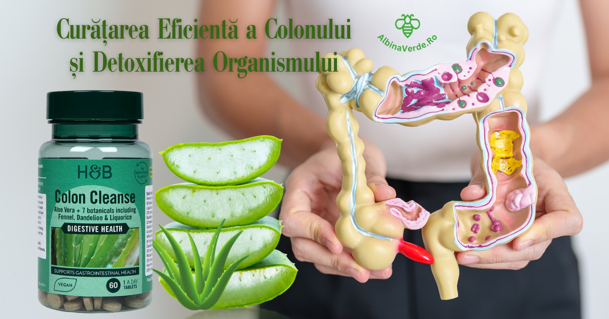 Curățarea Eficientă a Colonului și Detoxifierea Organismului