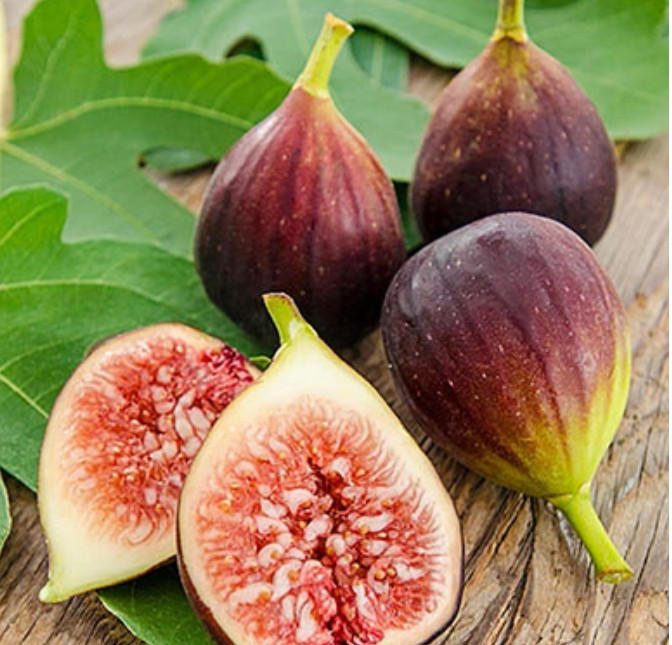 Smochin - Pepiniera Peris | Arbusti fructiferi exotici si ornamentali ...