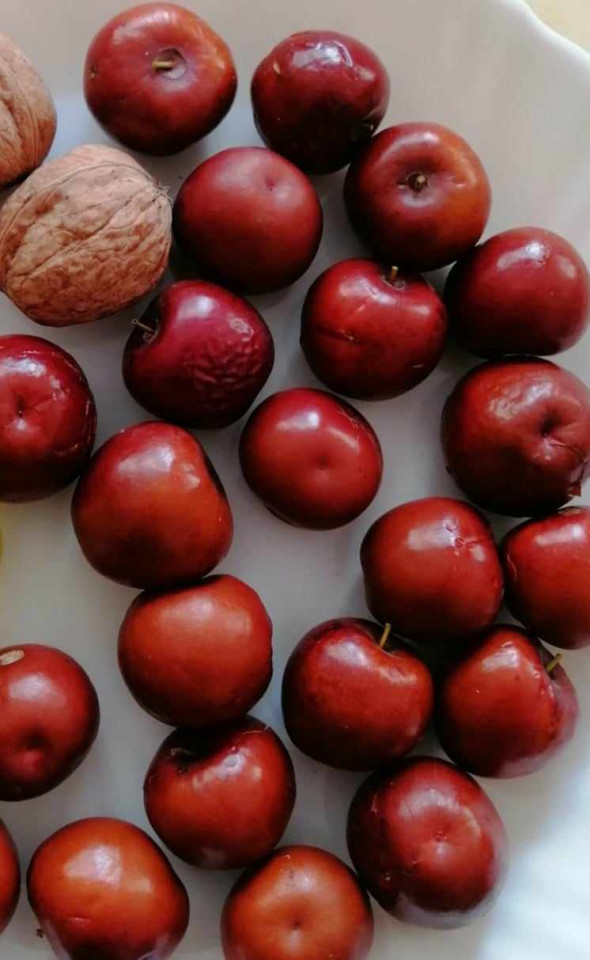 Curmal Chinezesc, Ziziphus Jujuba - Pepiniera Peris | Arbusti ...