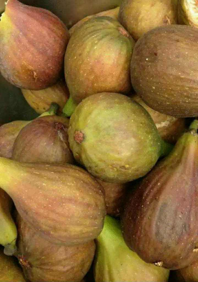 Smochin - Pepiniera Peris | Arbusti fructiferi exotici si ornamentali ...