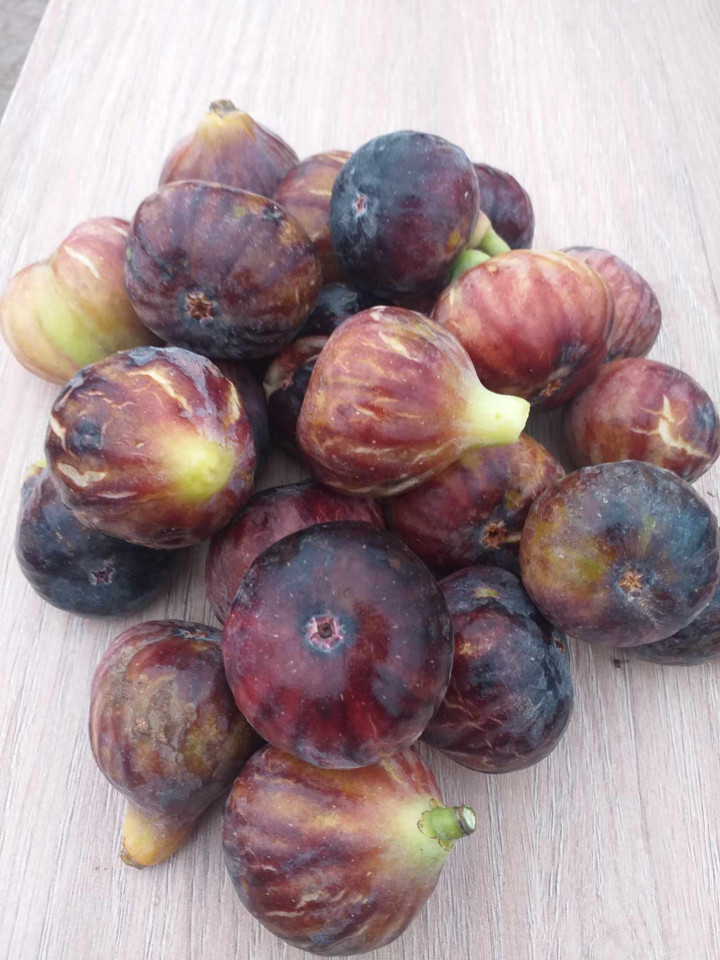 Smochin - Pepiniera Peris | Arbusti fructiferi exotici si ornamentali ...