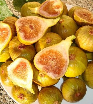 Smochin - Pepiniera Peris | Arbusti fructiferi exotici si ornamentali ...