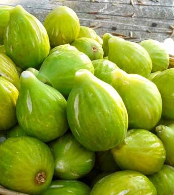 Smochin - Pepiniera Peris | Arbusti fructiferi exotici si ornamentali ...