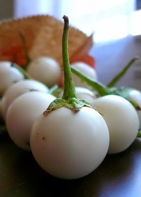 Vinete albe Delle Uova