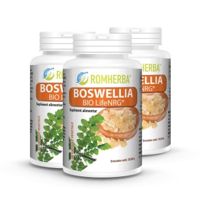 Boswellia Bio LifeNRG - 3 Flacoane