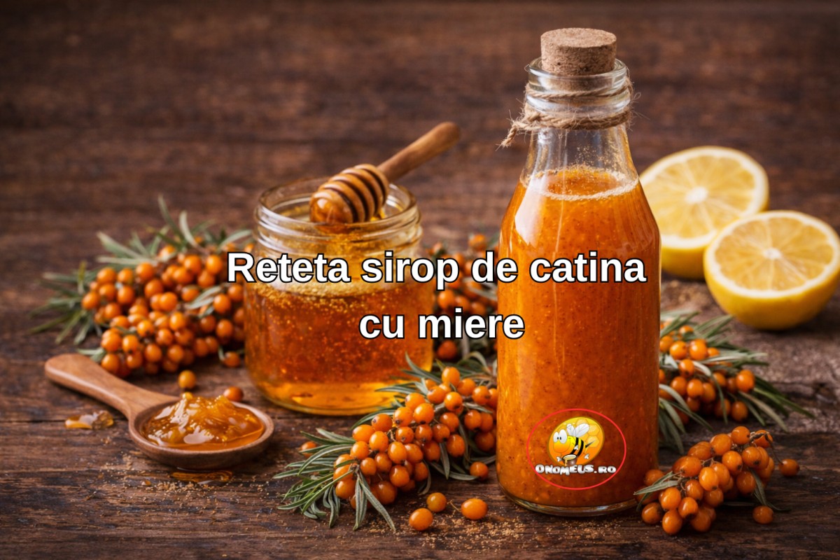 Reteta Sirop De Catina Cu Miere: Simplu, Fara Fierbere