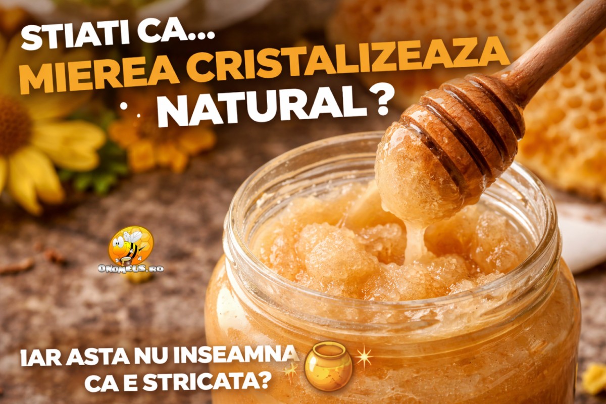 Miere Cristalizare: De Ce Cristalizeaza Mierea Si E Buna?