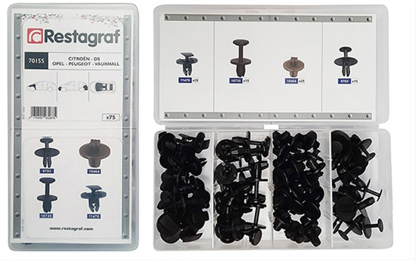 Set 75 buc asortiment nituri plastic pentru citoren,opel, peugeot,ds