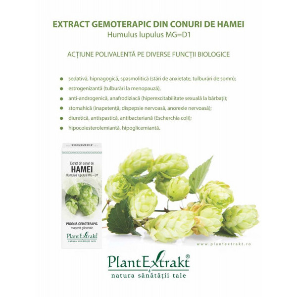 Extract din conuri de hamei (HUMULUS LUPULUS) 50ml, PlantExtrakt ...