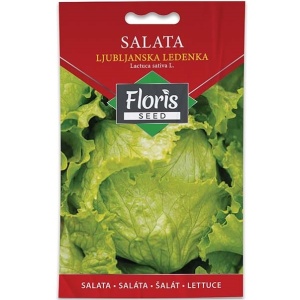 Salata Ljubljanska ledenka seme 2g - 10kom. FLORIS