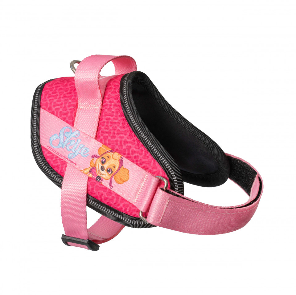 Ham JK9 IDC Power PAW Patrol - XS - Skye