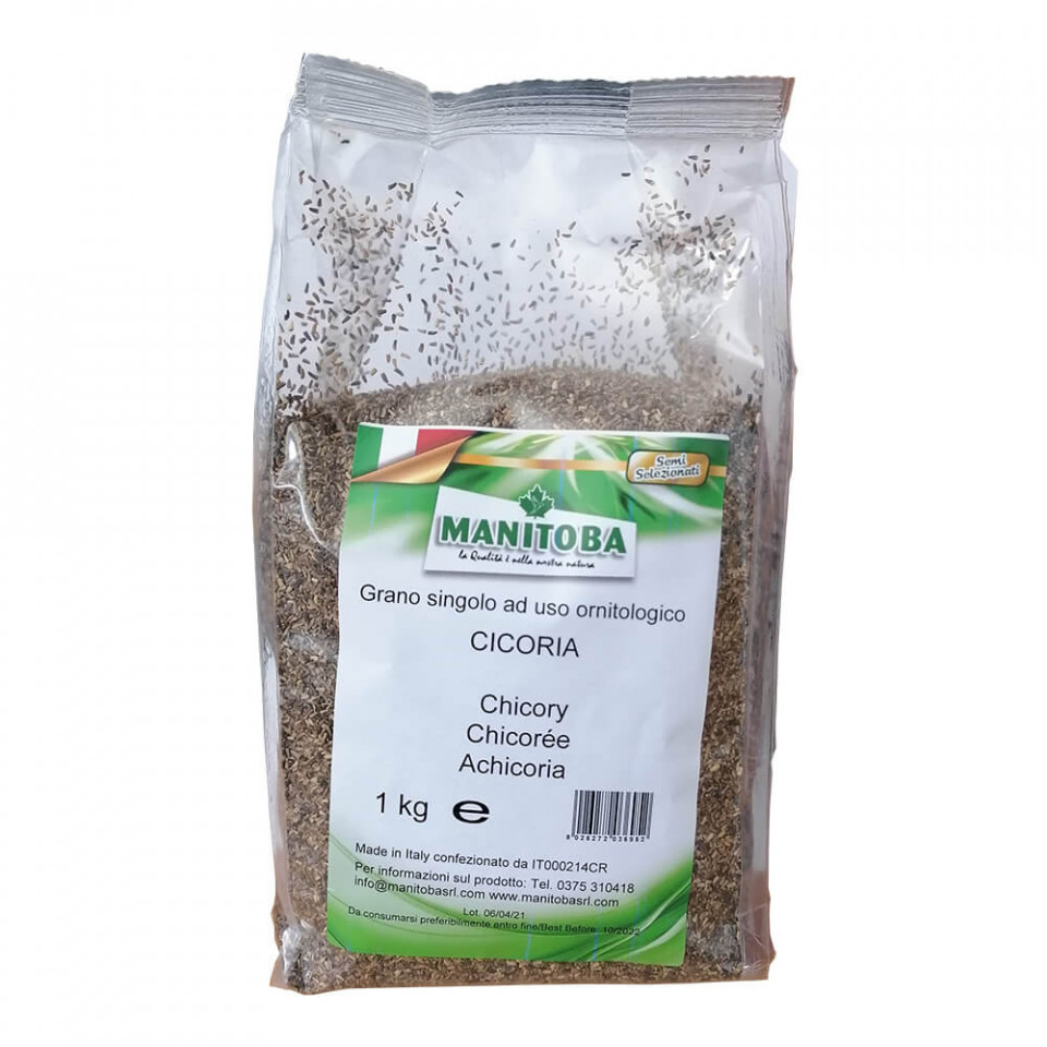 Seminte Cicoare - 1kg