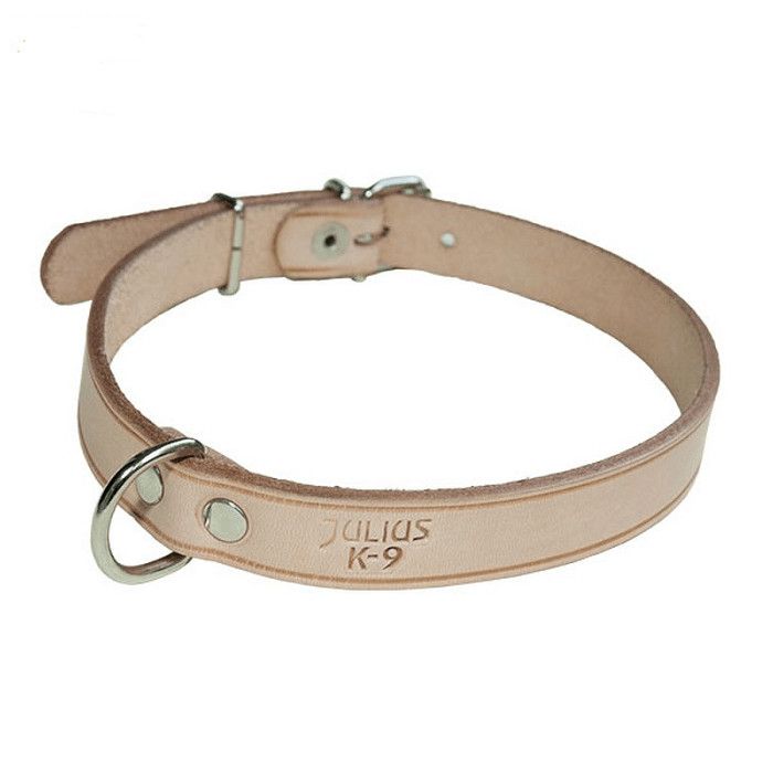 safepet.ro