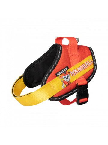 Ham JK9 IDC Power PAW Patrol - XS - Marshall