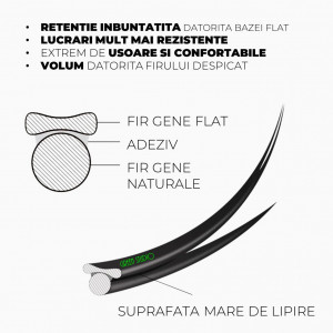 Extensii gene flat Green Studio