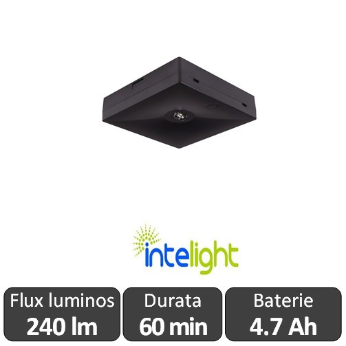 Intelight Lampă LED Antipanică Starlet Negru 1H Aparent Test Manual