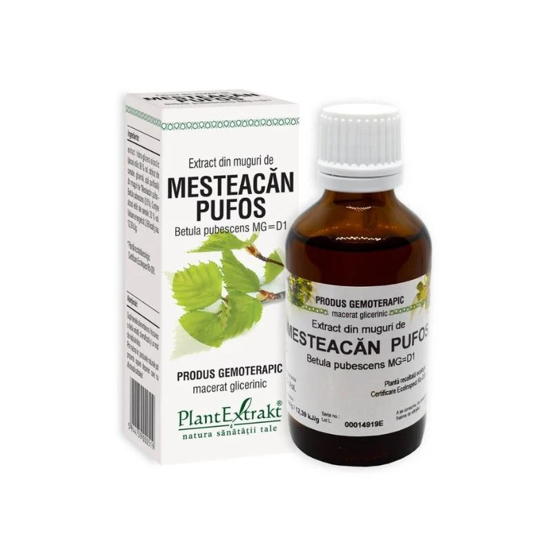 Plant E Extract Muguri de Mesteacan Pufos