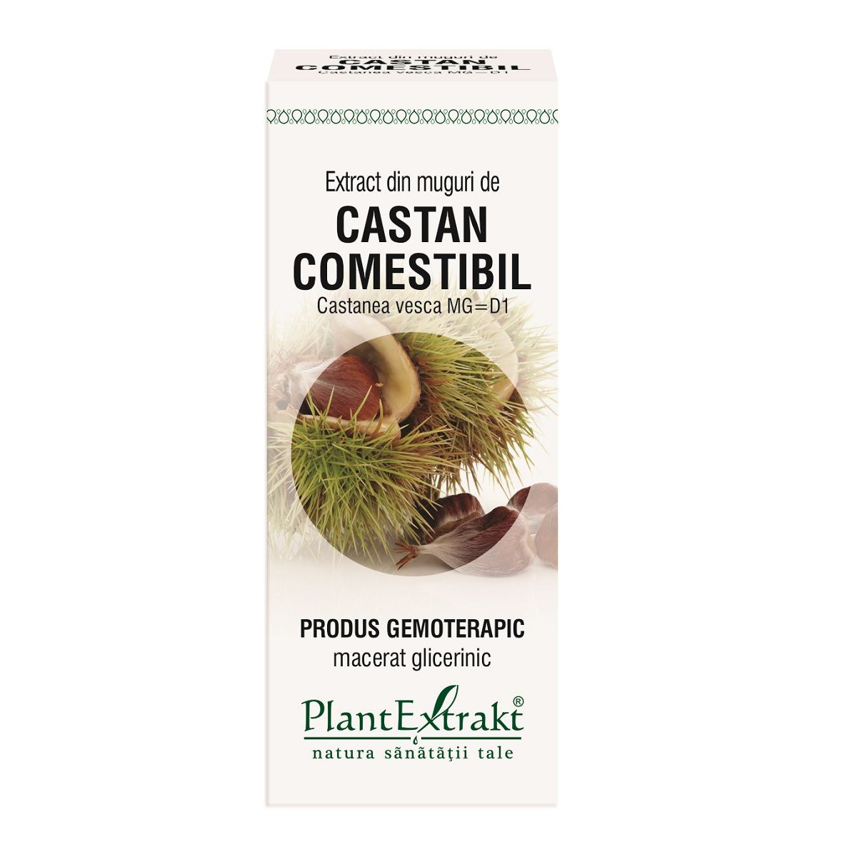 Plant E Extract Muguri de Castan Comestibil