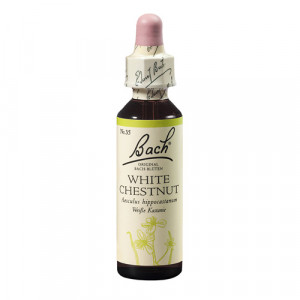 Bach White Chestnut x 20ml (Castan Alb)