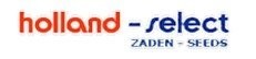 Holland Select - Seminte1