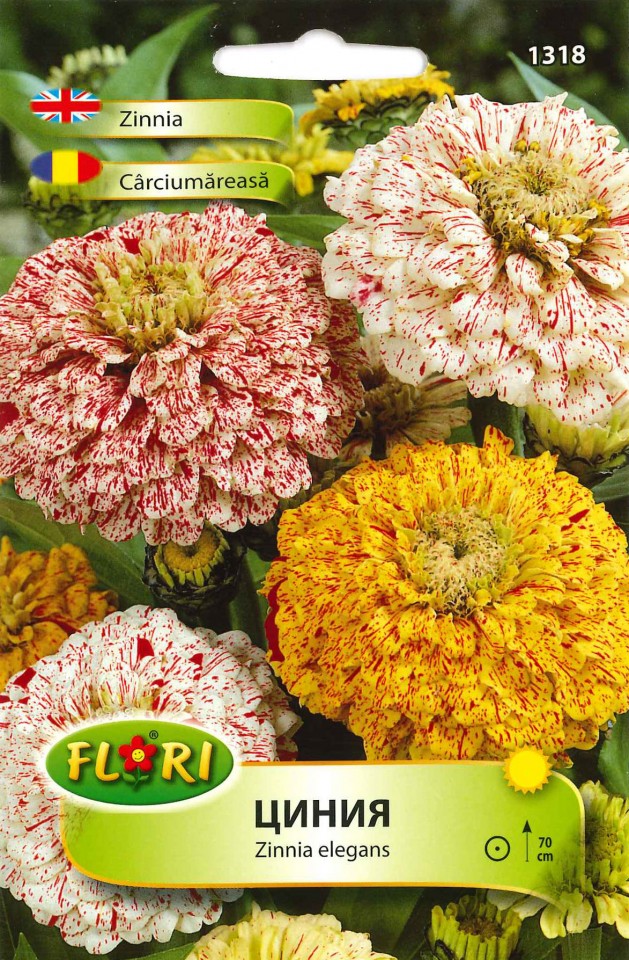 Florian seminte rosii bulgaresti seminte legume pret bulgaria romania