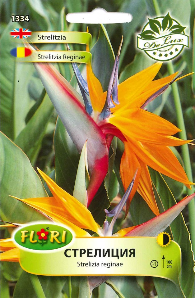 Strelitzia - Pasarea Paradisului (5 seminte) flori Strelitzia ...
