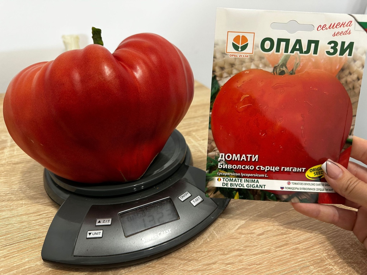 Gigant Inima de Bivol Rosu Bulgaresc (300 seminte) seminte de rosii ce ...