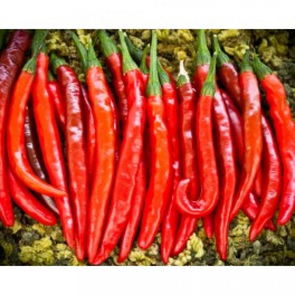 Seminte legume romanesti - Seminte1