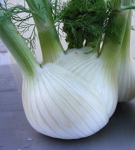 Seminte Legume - Seminte1