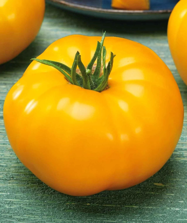 Lemon Boy F1 (10 seminte) rosii galbene, gust foarte bun, rotund plate ...