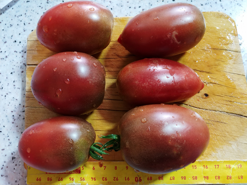 Ukrainean Purple (30 seminte) rosii prunisoare de culoare purpuriu ...