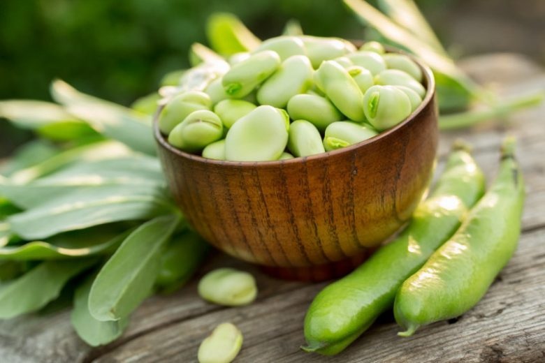 Bob Bio Aguadulce Supersimonia (10 gr) seminte bob pastai lungi, boabe ...