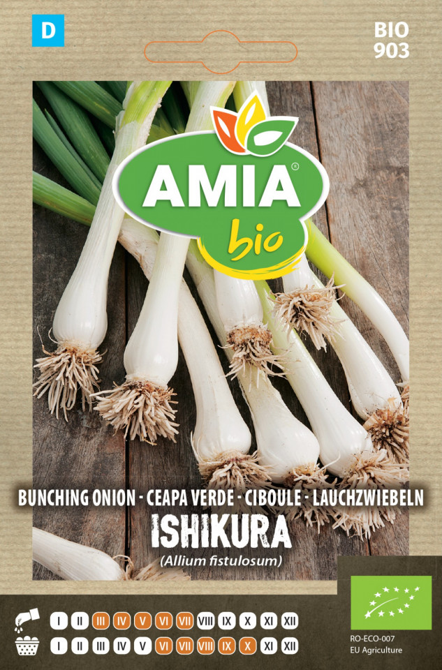 Ceapa verde Ishikura BIO (150 seminte) de ceapa ECO, certificate ...