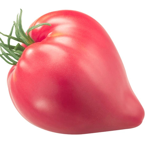 Seminte Rosii - Seminte1