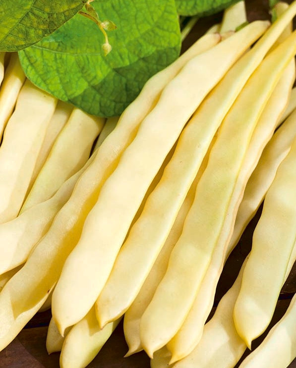 Seminte legume romanesti - Seminte1