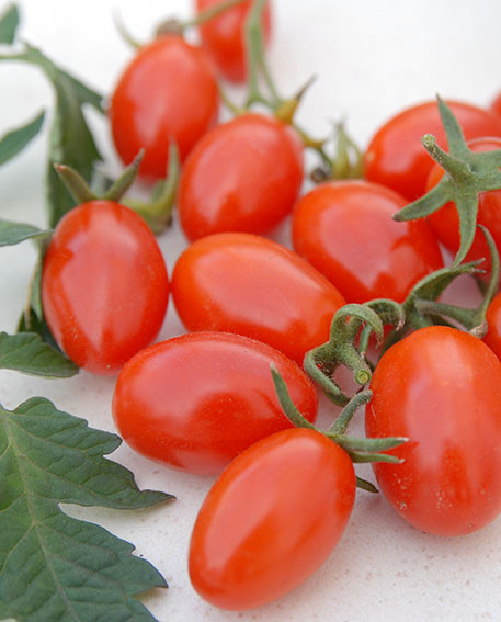 Seminte rosii de gradina - Seminte1