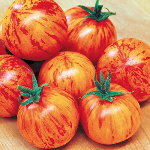 Florian seminte rosii bulgaresti seminte legume pret bulgaria romania