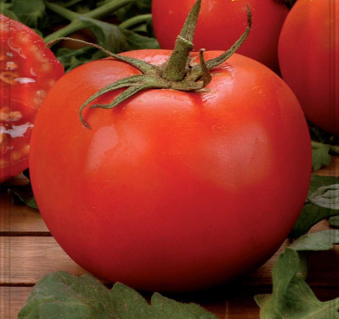 Seminte rosii de gradina - Seminte1