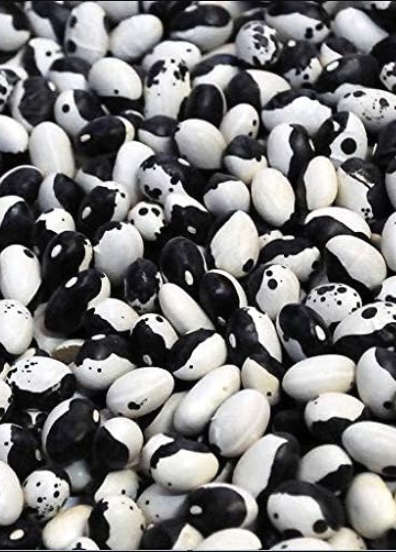 Seminte Fasole - Seminte1