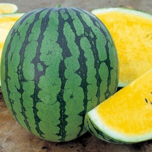 Peace F1 (500 seminte) pepene verde cu miezul galben tip Crimson Sweet ...