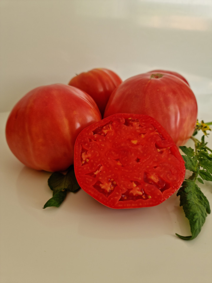 Roza Aurora (150 seminte) de rosii roz mari tip grasa gigant gust ...