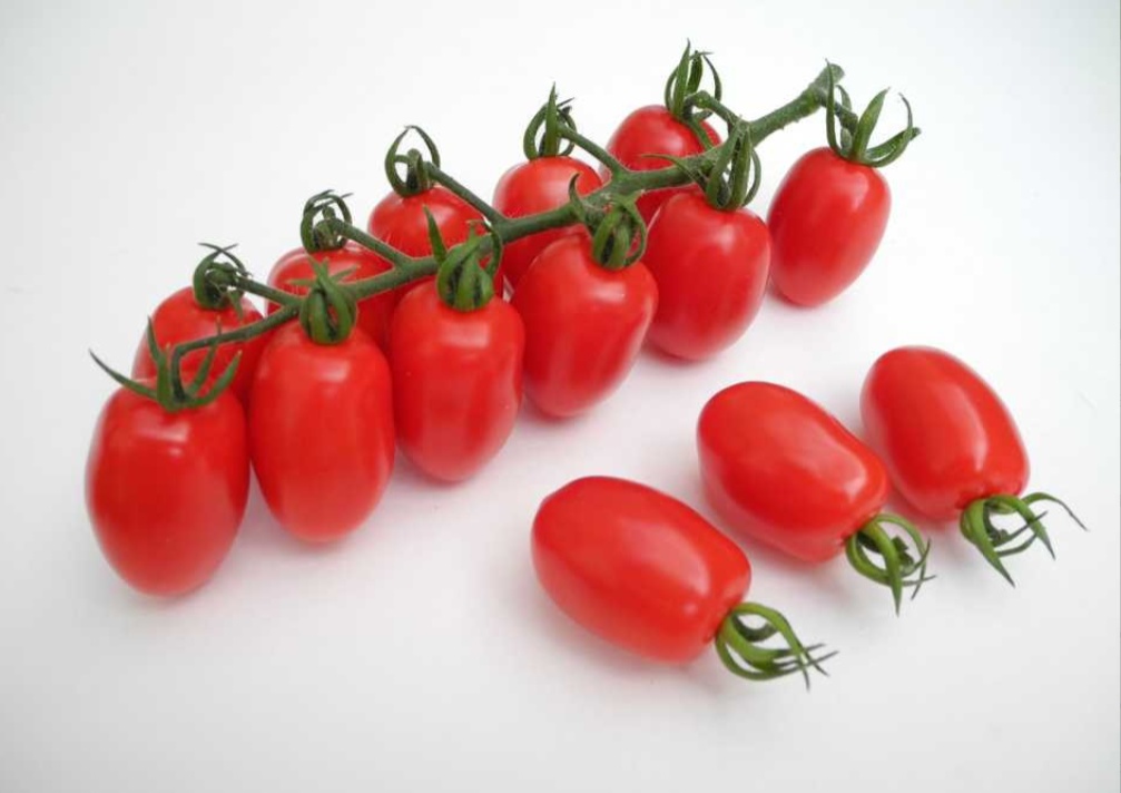 Monterrey F1 (8 seminte) rosii cherry prunisoare, nedeterminate ...