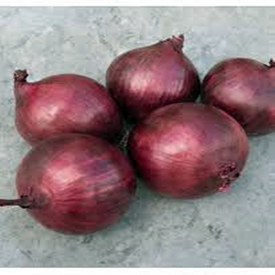 Red Rum F1 (250.000 seminte) ceapa rosie cu semanare primavara devreme ce prezinta bulbi rotunzi ...