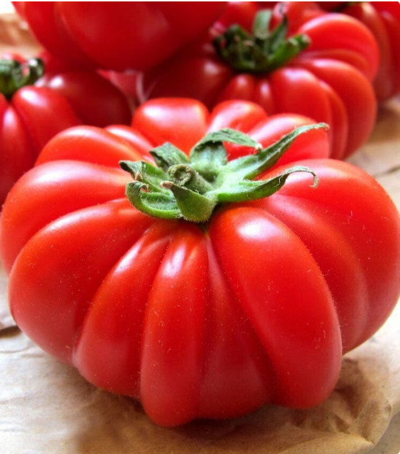 Seminte Rosii Crete - Seminte1