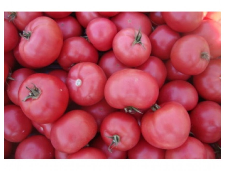 Seminte tomate roz - Seminte1